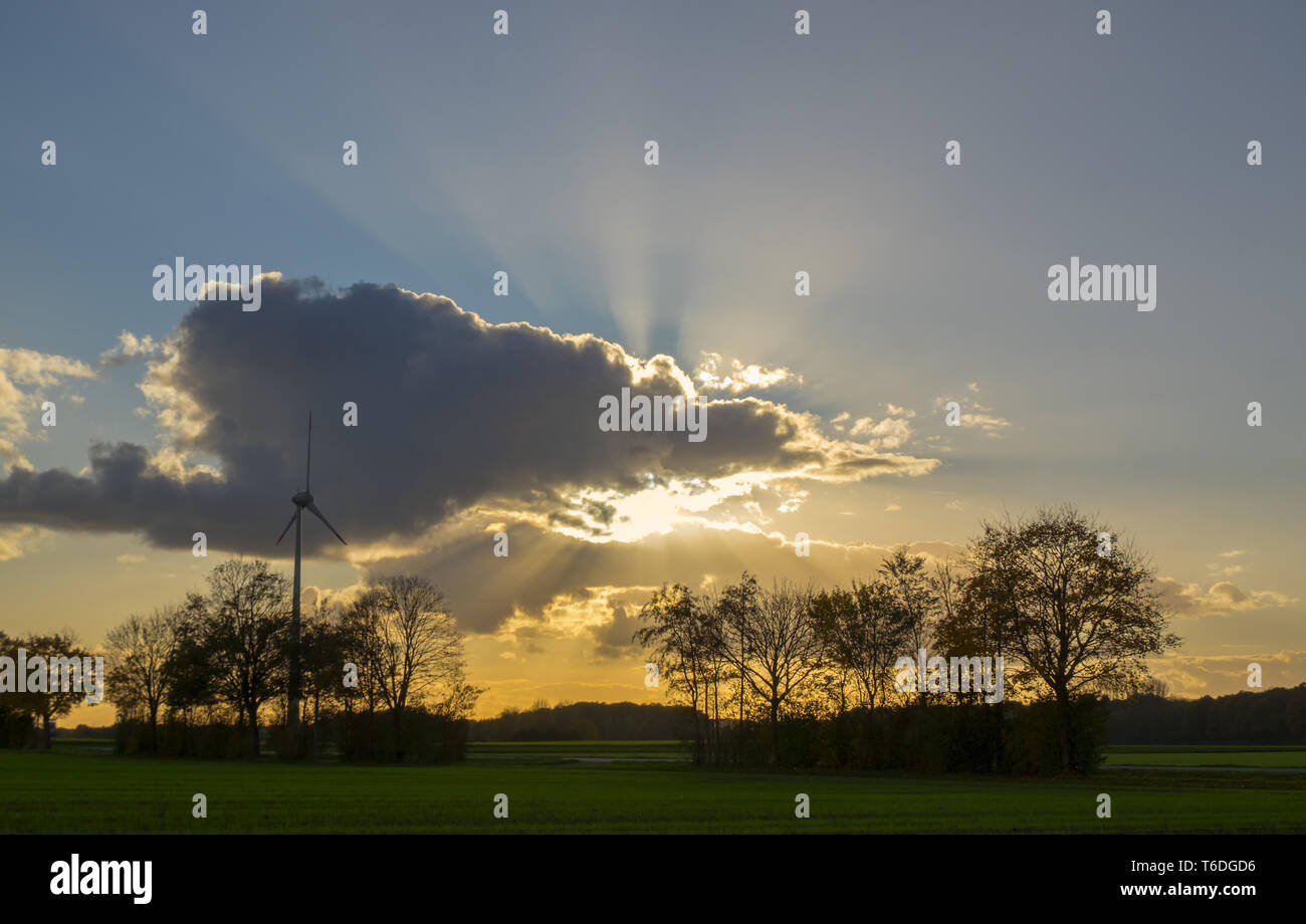 Ahaus wullen hi-res stock photography and images - Alamy