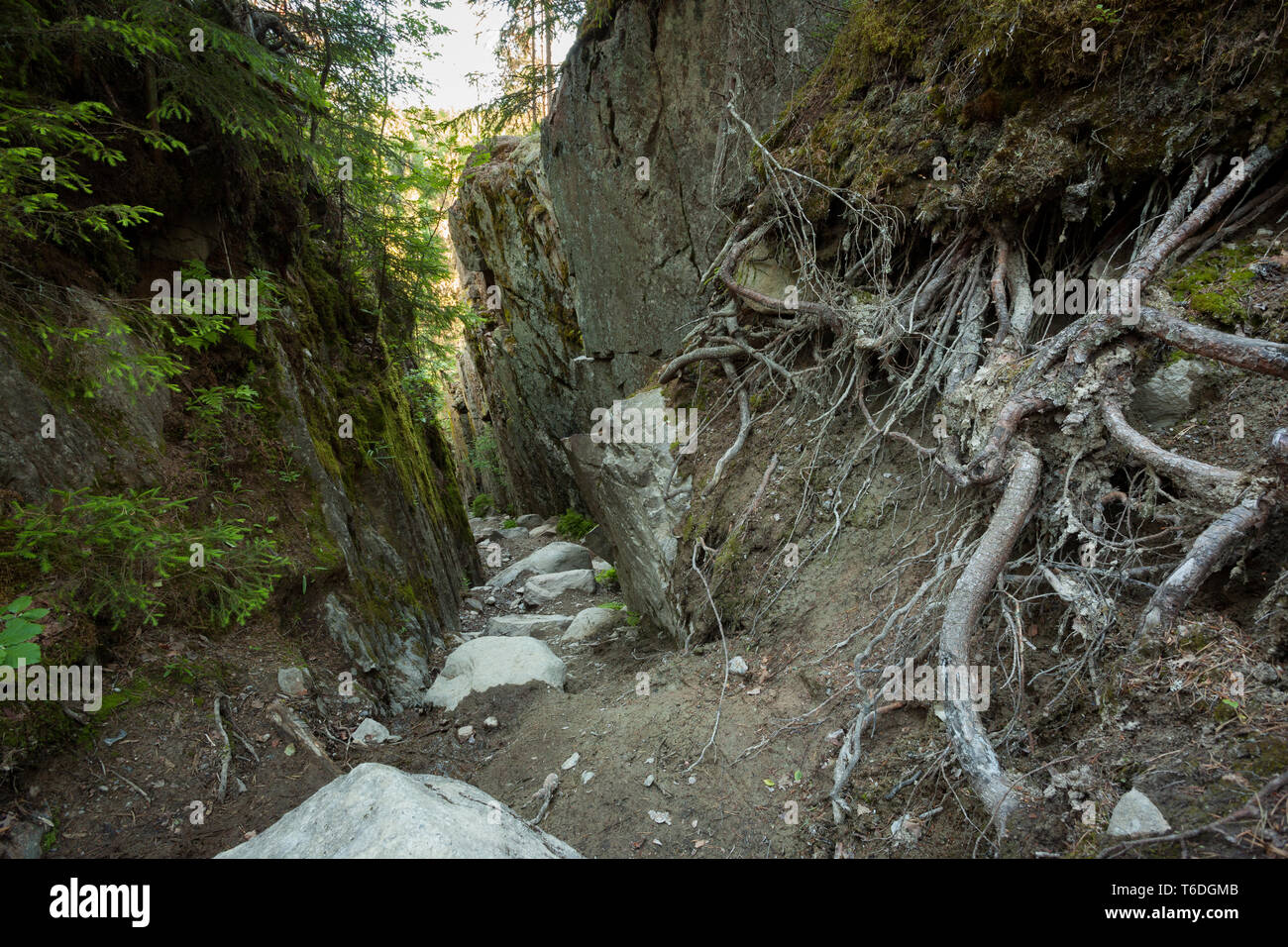 Footpath in bottom of small gorge Stock Photo - Alamy