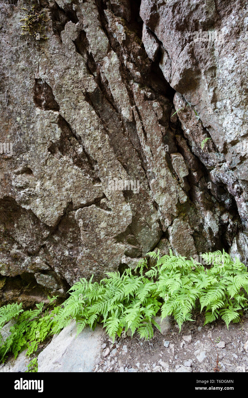 Small gorge hi-res stock photography and images - Alamy