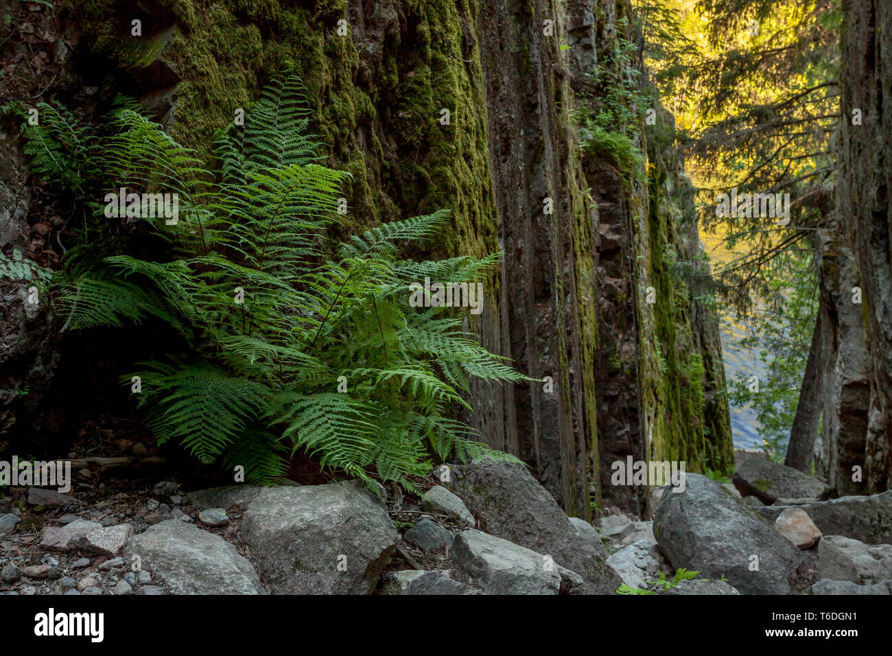 Small gorge hi-res stock photography and images - Alamy