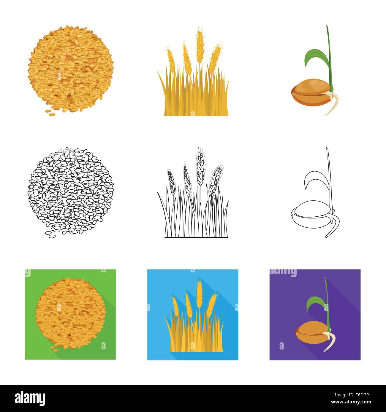 spring,seed,seeds,spike,grow,crop,barley,root,bread,land,seedling ...