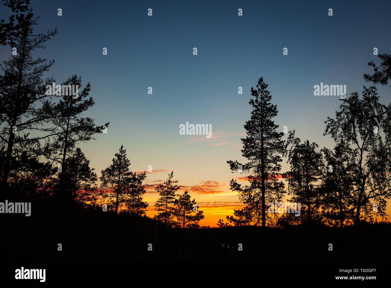 Colorful clouds sunset forest background Stock Photo - Alamy