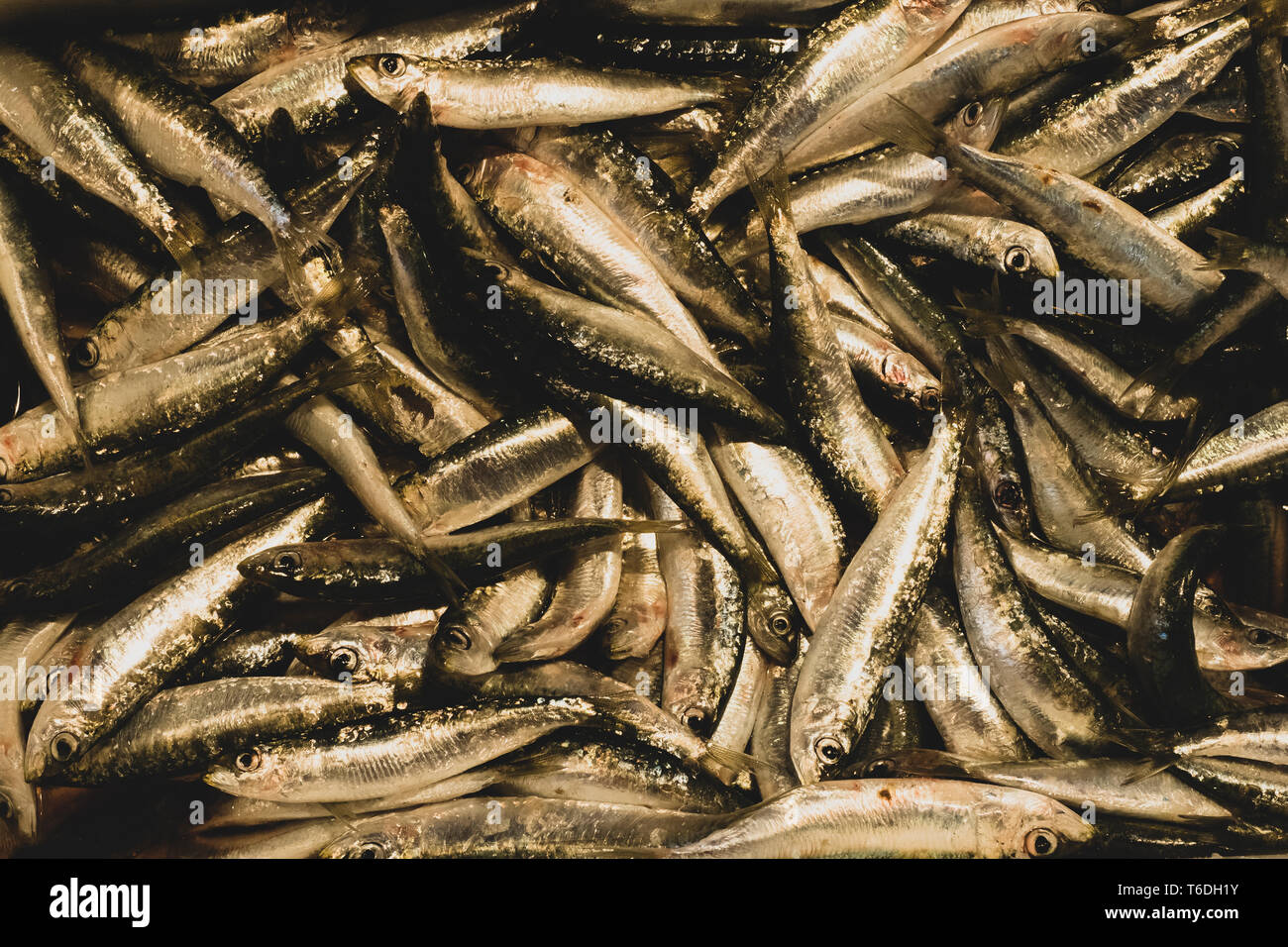 High angle close up of fresh sardines at a market stall Stock Photo - Alamy