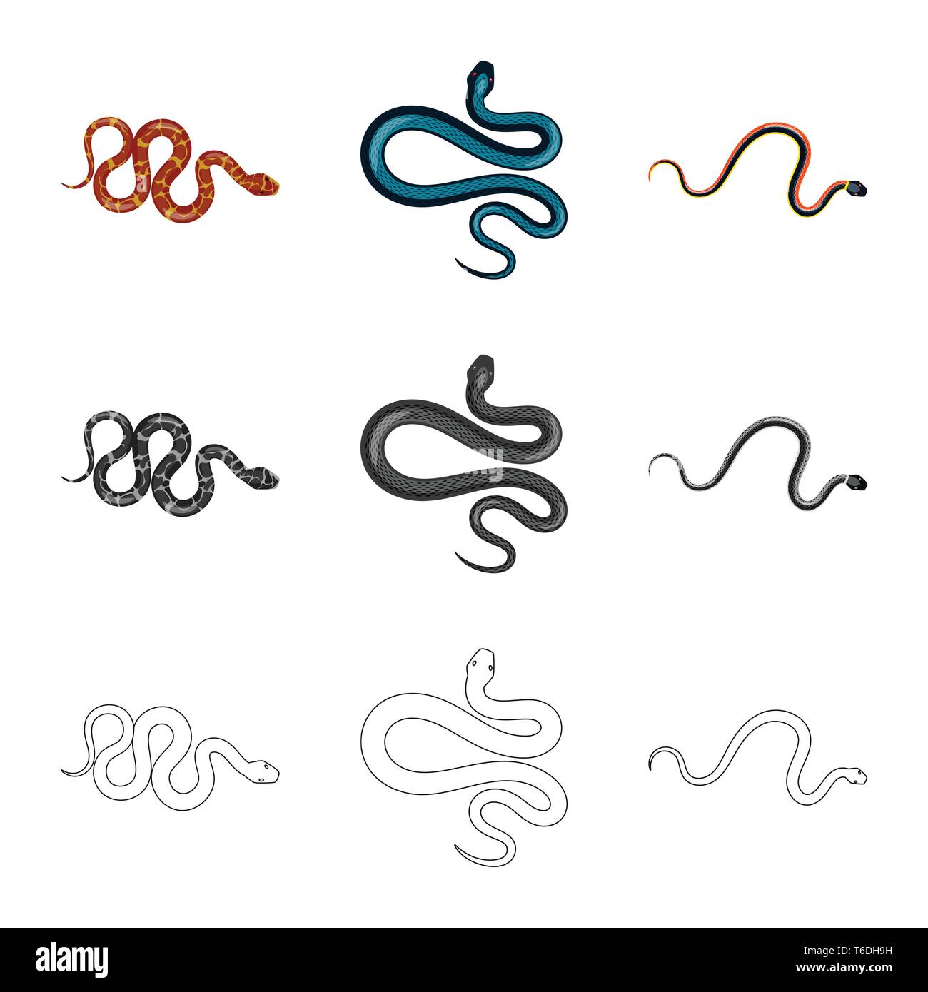 snake,amphibian,animal,wild,anaconda,cobra,tropics,pink,tail,black ...