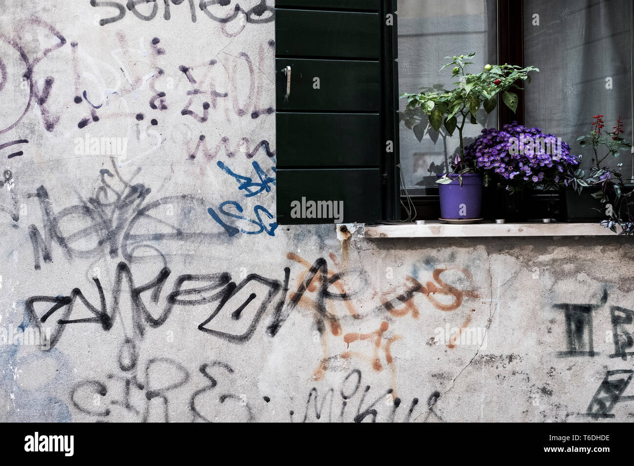 Close up of white wall covered in graffiti, window with black shutters ...