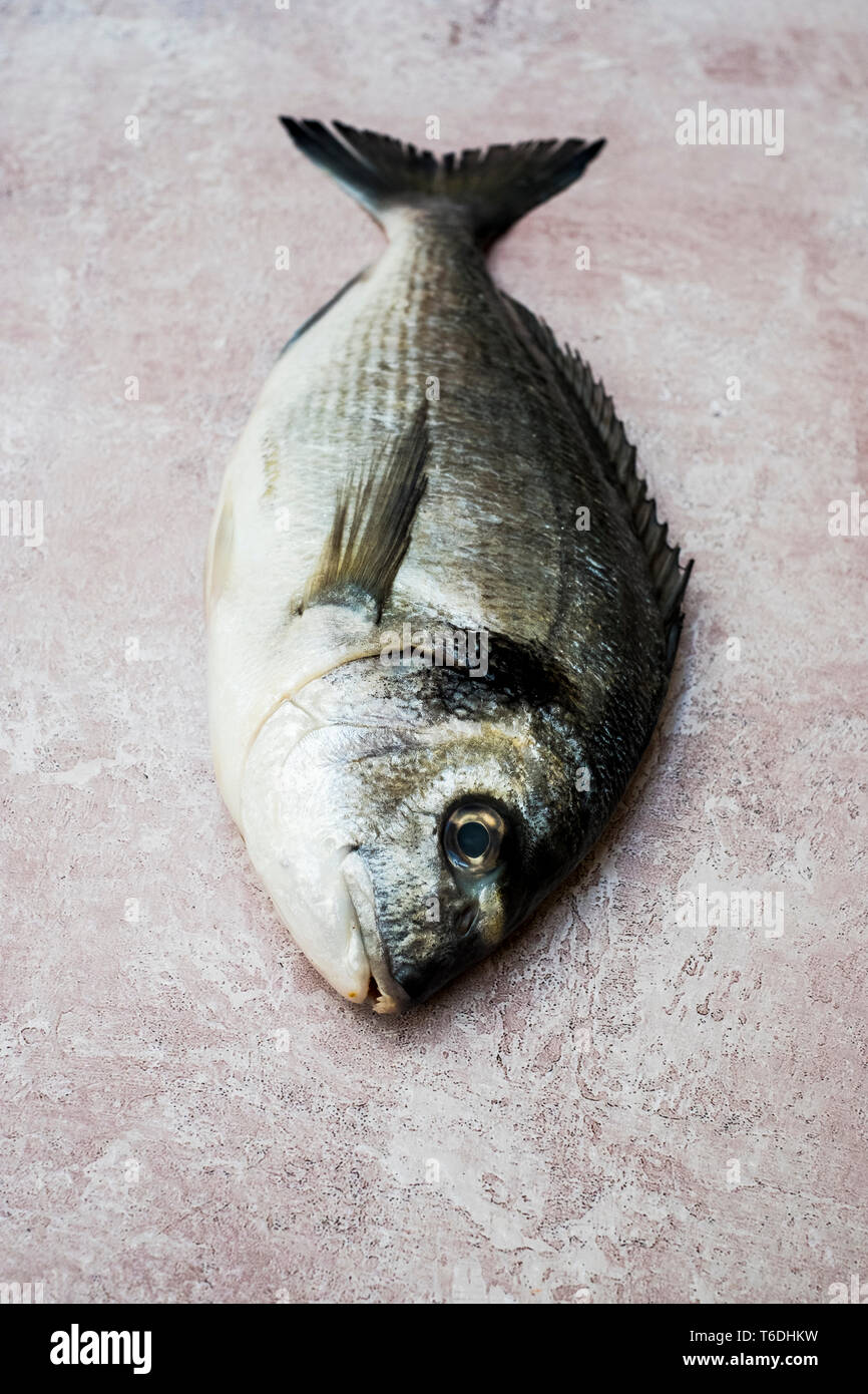 Whole grey sea bream hi-res stock photography and images - Alamy