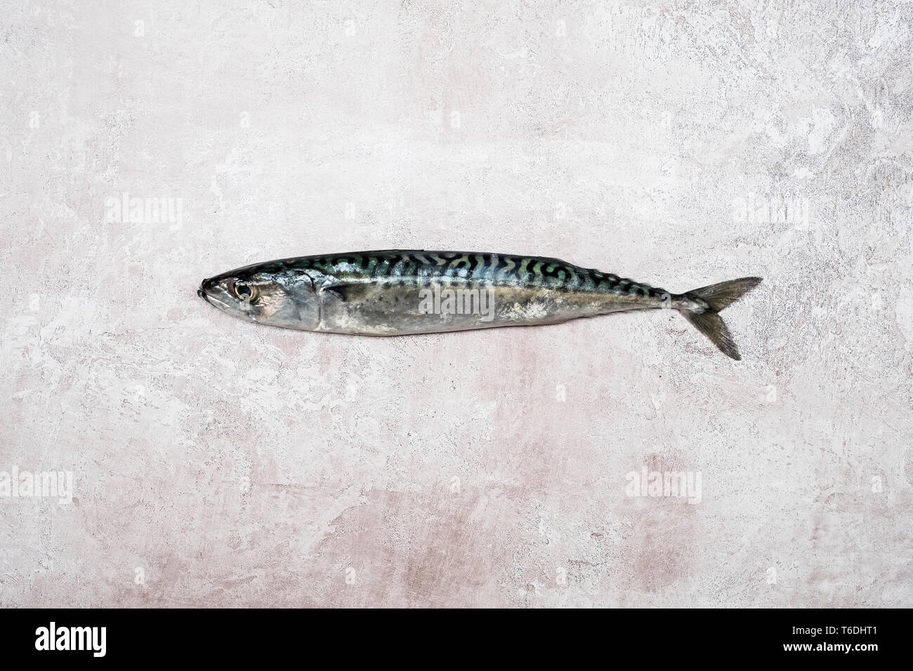 High angle close up of a fresh mackerel fish Stock Photo - Alamy