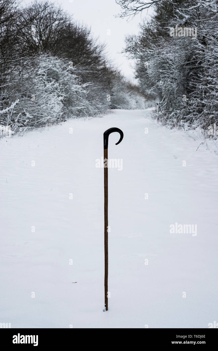 Close up of a shepherd's staff in the snow on a rural road Stock Photo ...
