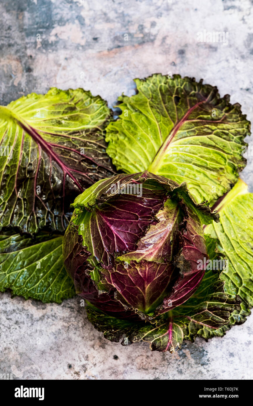 Still life of a fresh green cabbage Stock Photo - Alamy