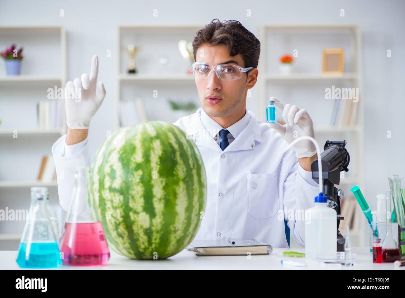 Scientist testing watermelon in lab Stock Photo - Alamy
