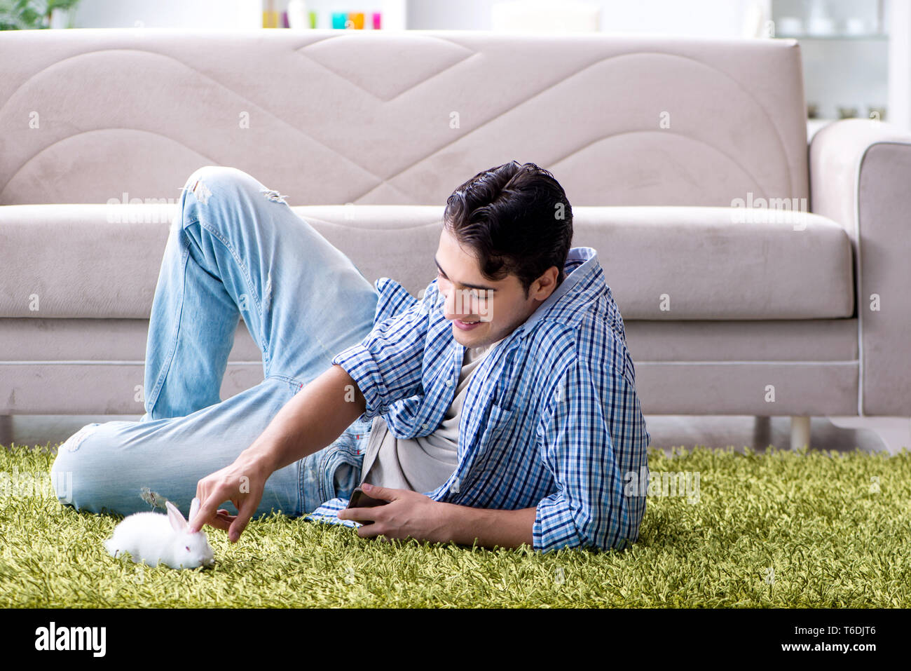 Young man playing with pet rabbit at home Stock Photo - Alamy