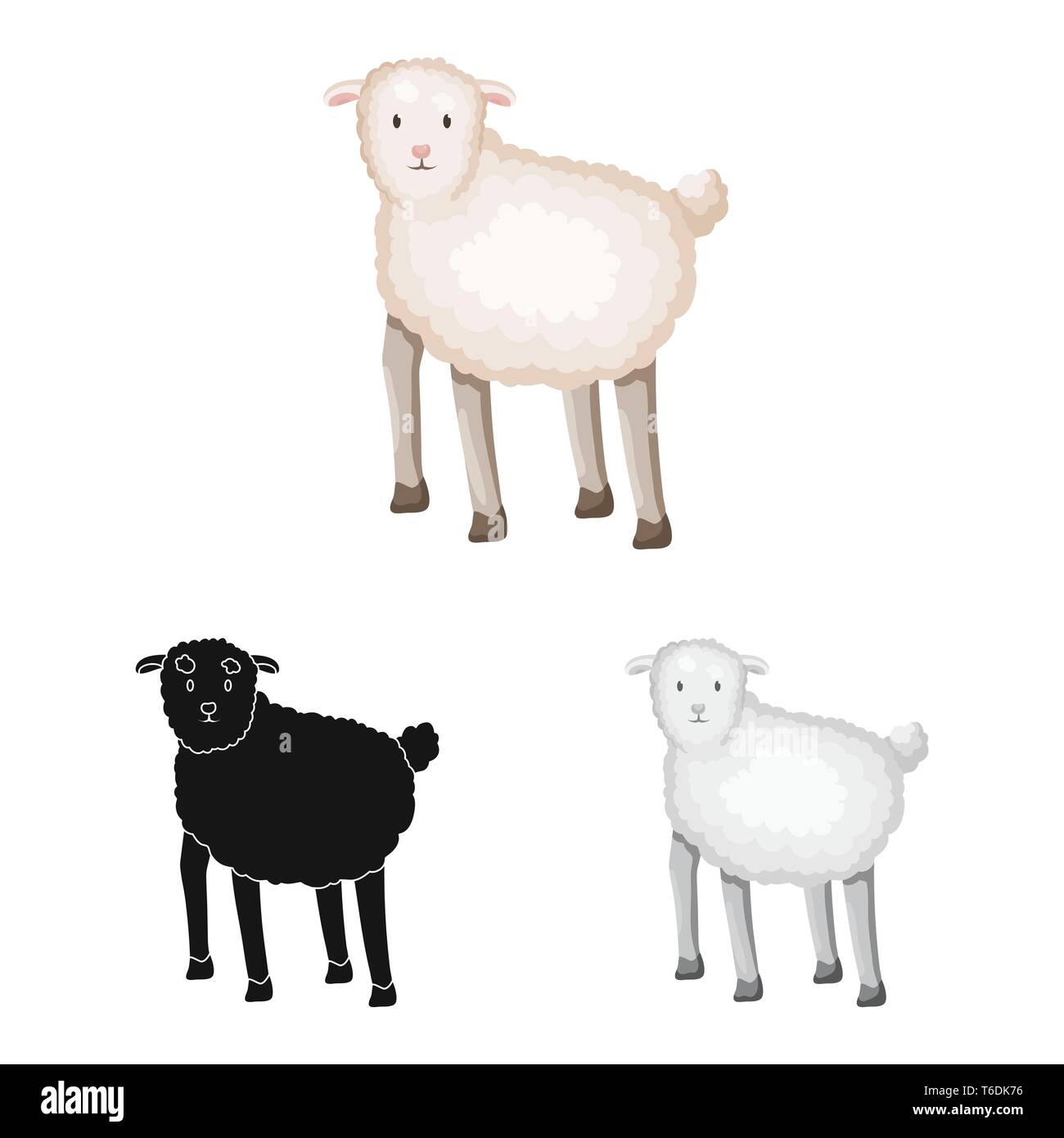 wool,meat,fluffy,happy,cattle,mutton,farm,food,homemade,countryside ...