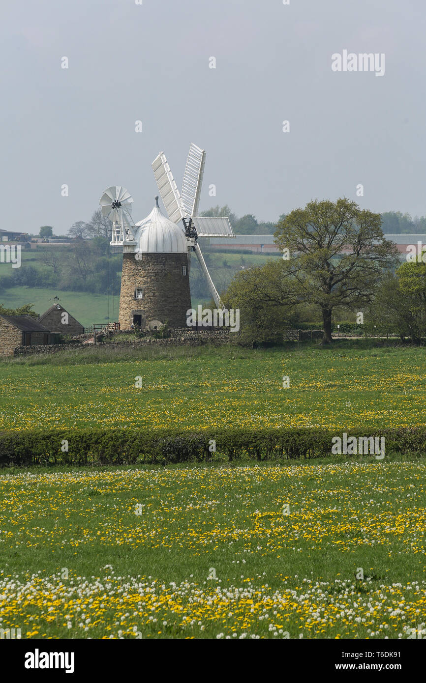 Heage hi-res stock photography and images - Alamy