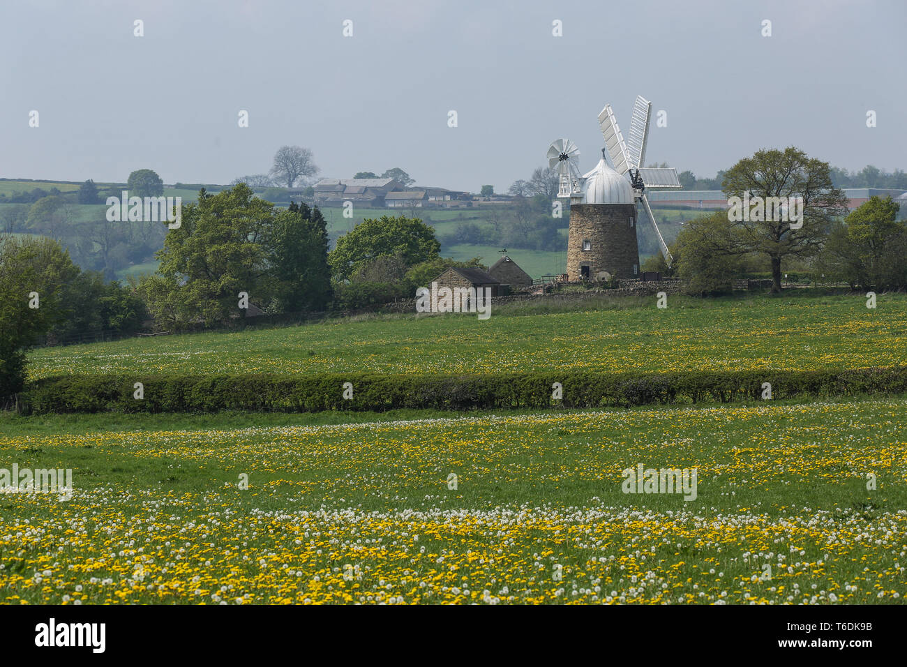 Heage hi-res stock photography and images - Alamy