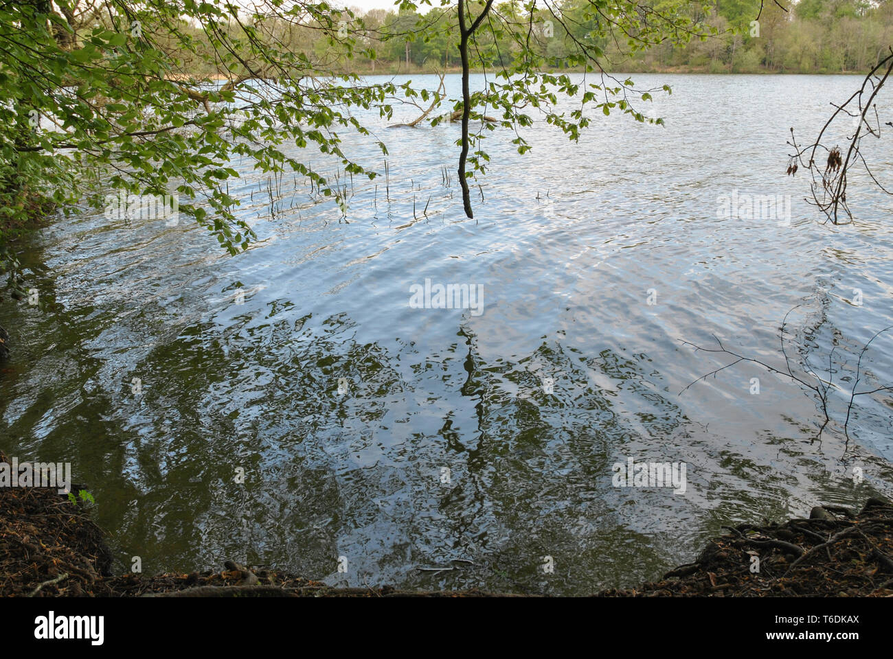 A view of water showing a mirror like rippling surface Stock Photo - Alamy