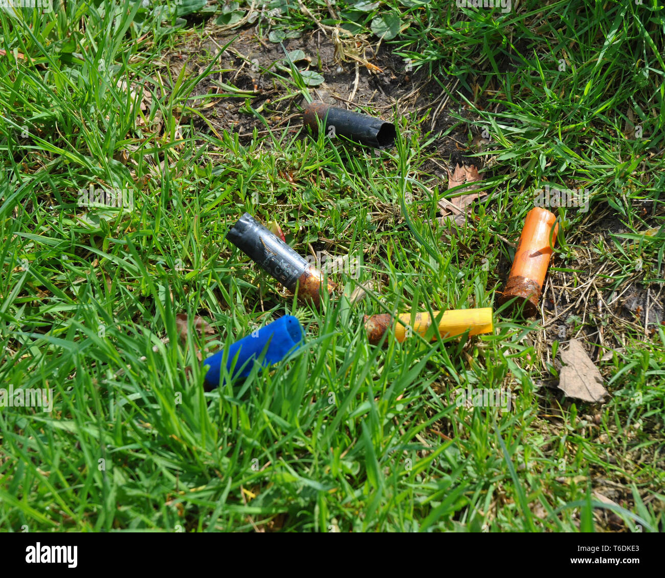 Shotgun shells grass hi-res stock photography and images - Alamy