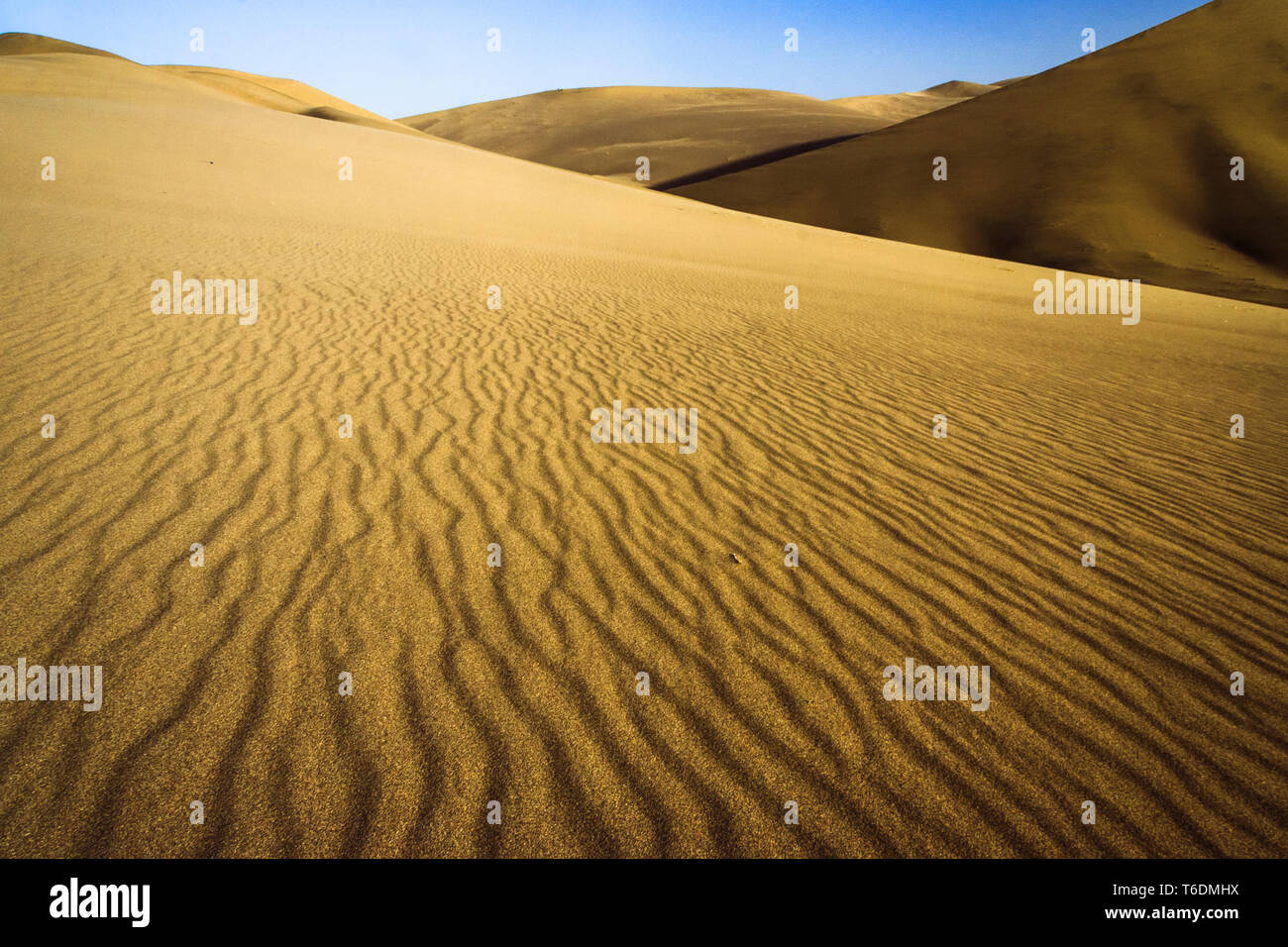 Overgrazing china hi-res stock photography and images - Alamy