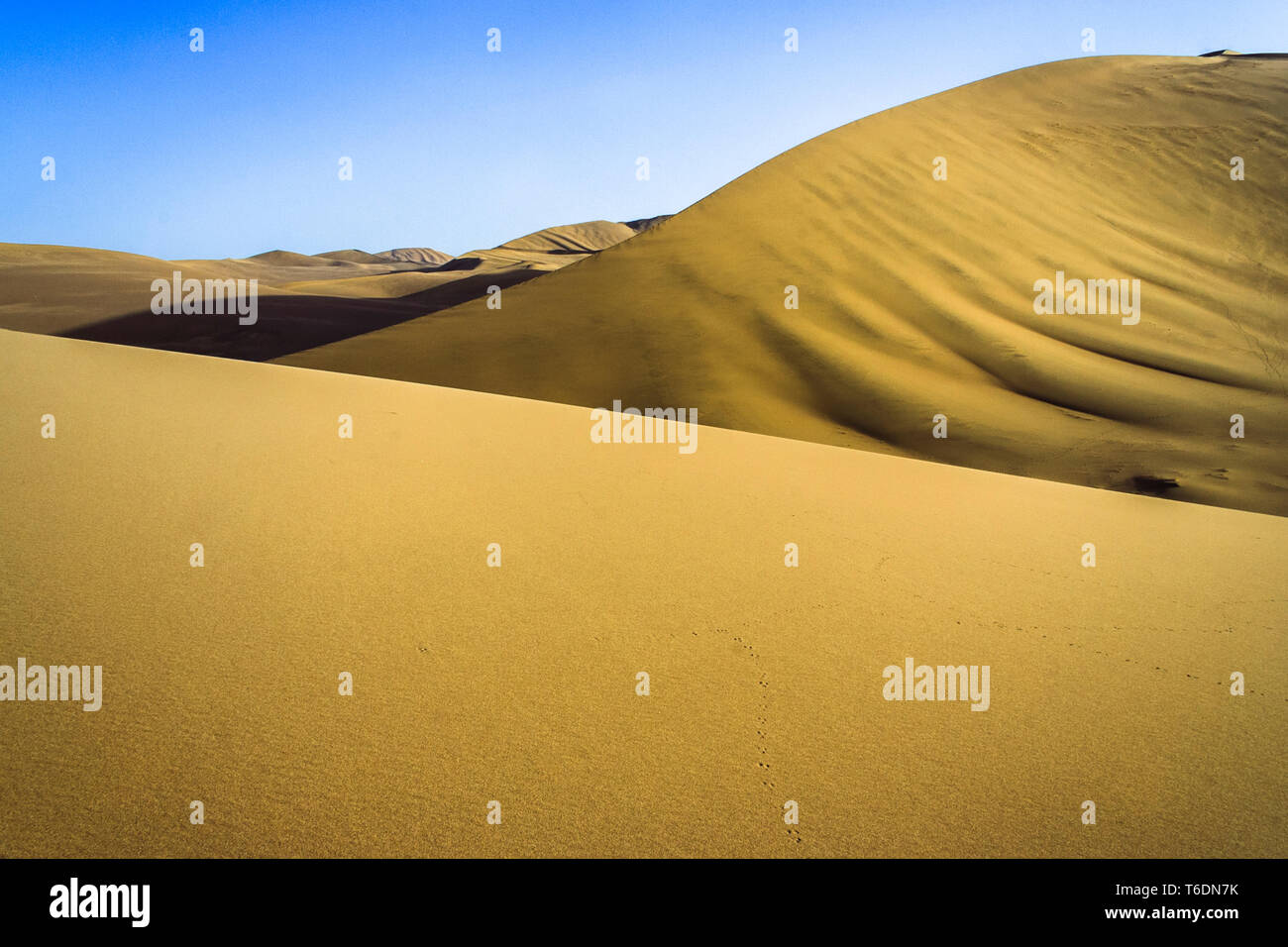 Overgrazing china hi-res stock photography and images - Alamy