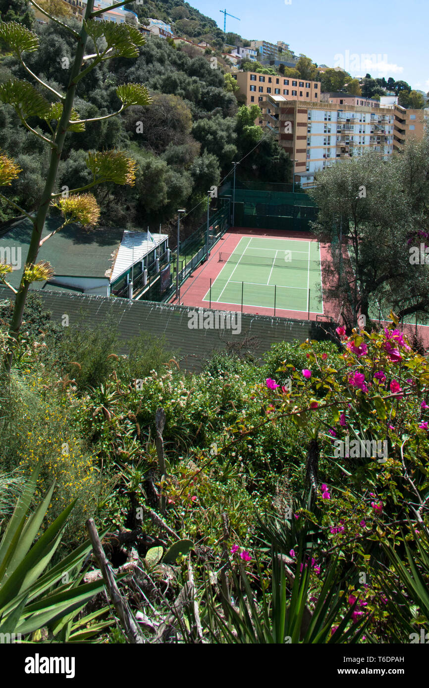 Botanic gardens and tennis courts Gibraltar with exotic flowers in ...