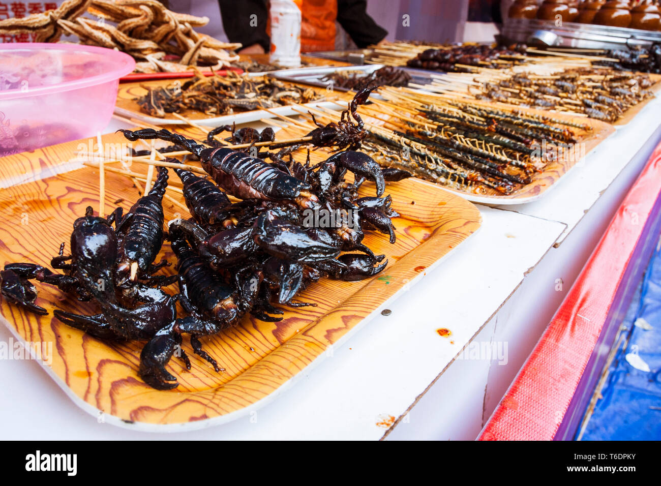Chinese stick insects hi-res stock photography and images - Alamy
