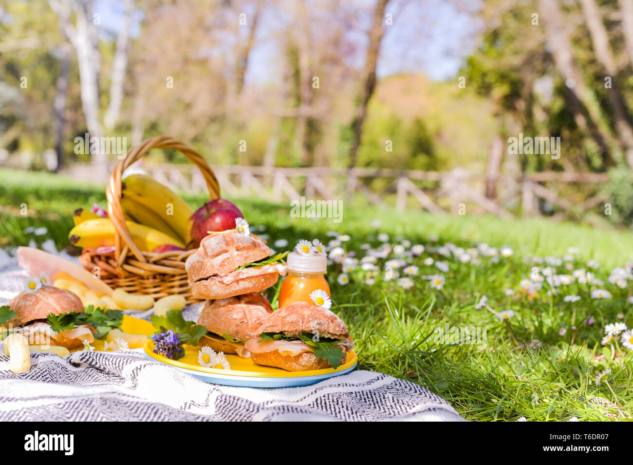 Lunch in the park in the open air. Family picnic on green grass ...