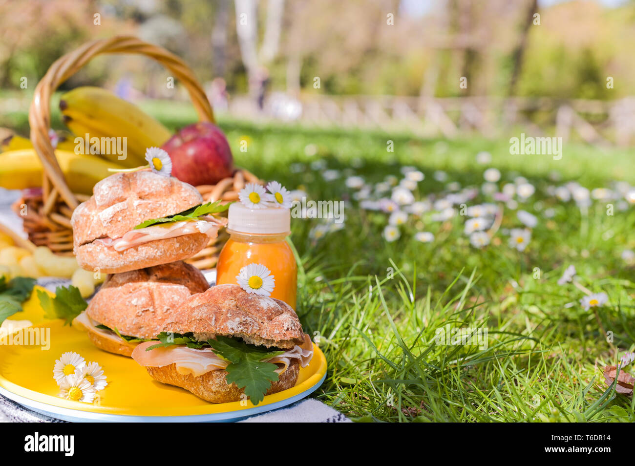 Lunch in the park in the open air. Family picnic on green grass ...
