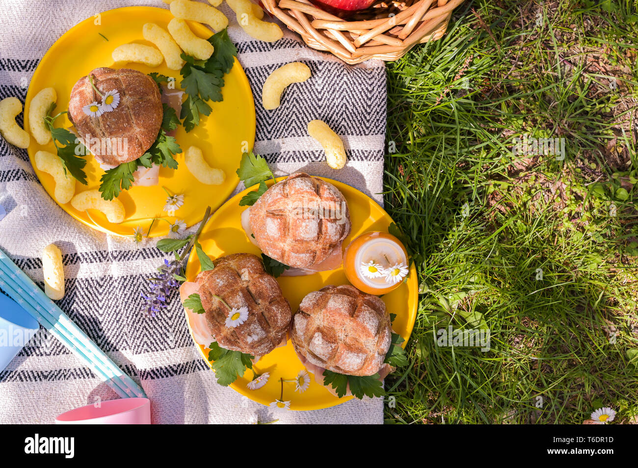 Lunch in the park in the open air. Family picnic on green grass ...