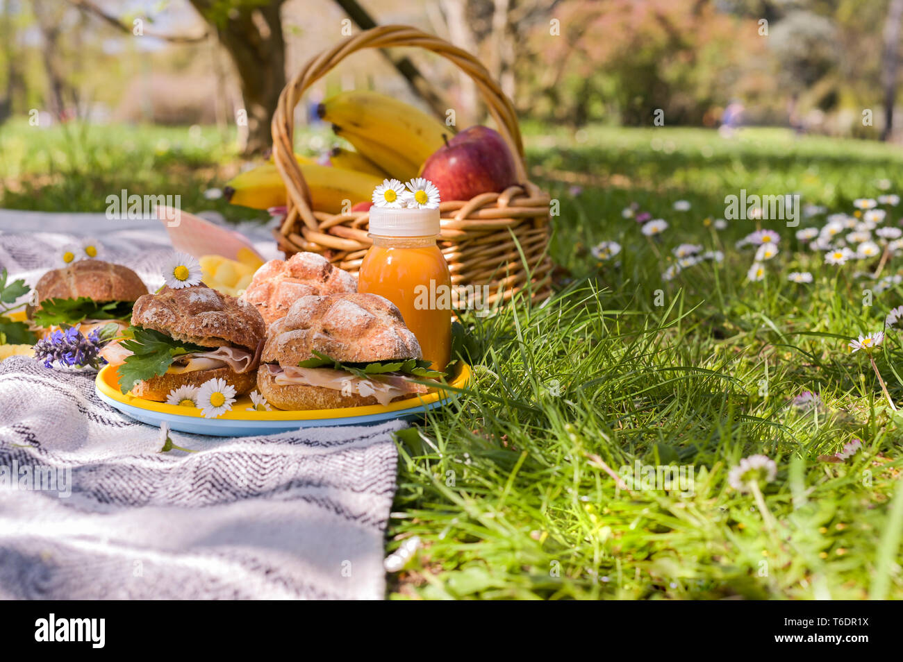 Lunch in the park in the open air. Family picnic on green grass ...