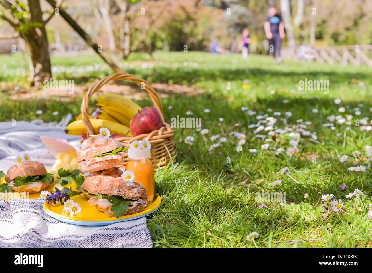 Picnic on the green grass in the park. Nice summer sunny day and food ...