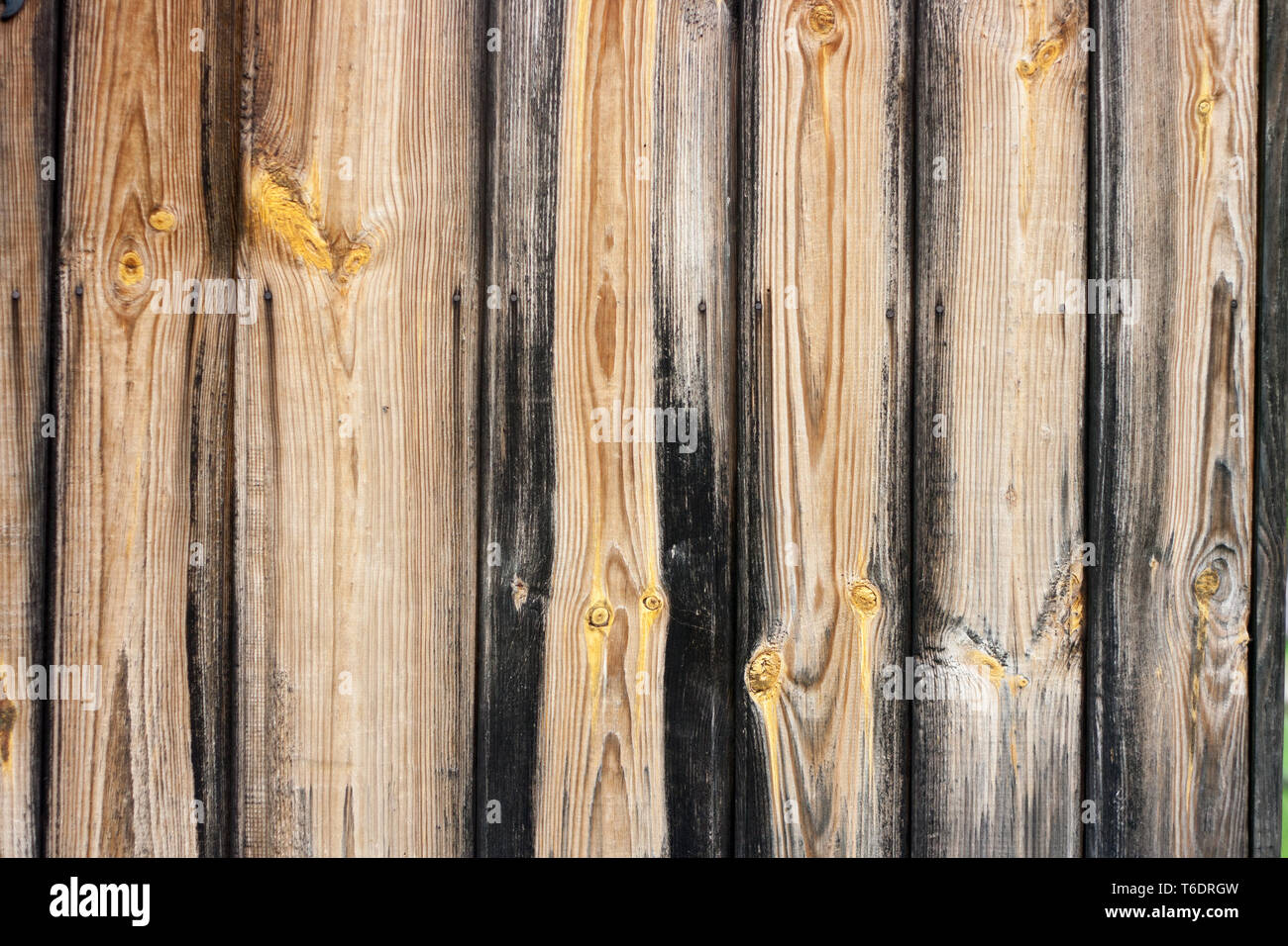 Wood wall texture. Natural pattern wood background Stock Photo - Alamy