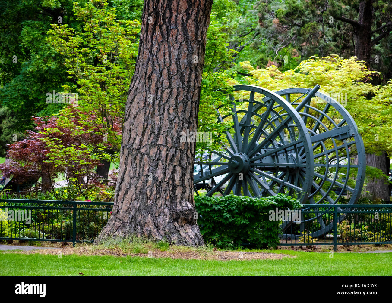 Old beautiful cannon hi-res stock photography and images - Alamy