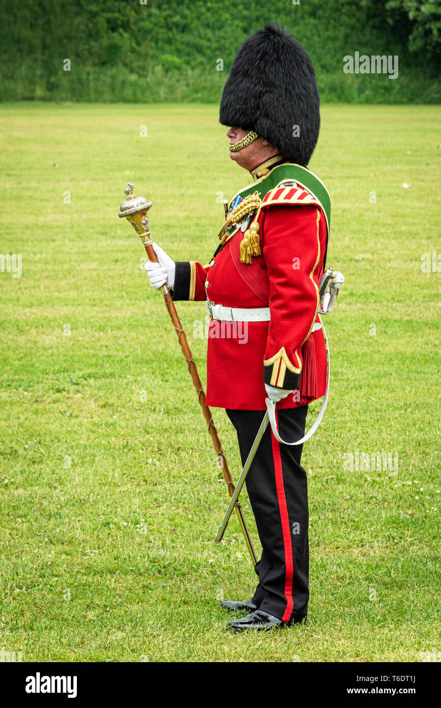 Drum major trooping the colour hi-res stock photography and images - Alamy