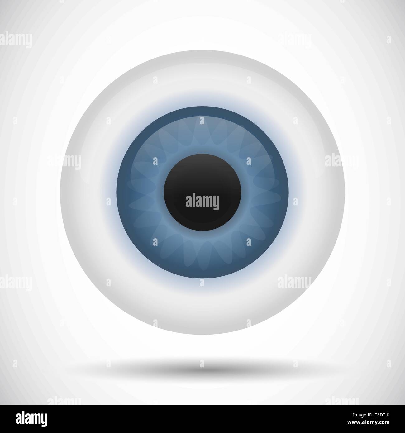 Vector illustration of an detailed blue eyeball and iris Stock Vector ...