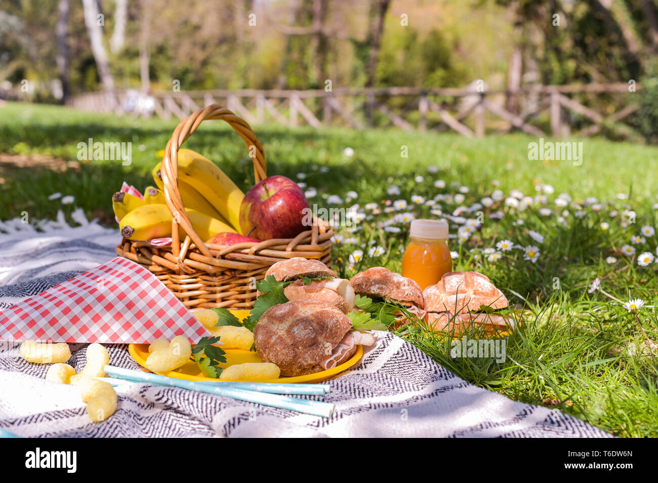 Fruit basket and picnic snacks. Sunny day in the park and green grass ...