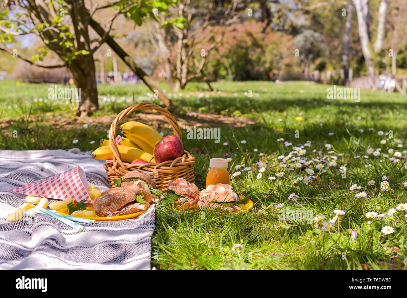 A basket of fruit and sandwiches for a picnic outdoors in the park ...
