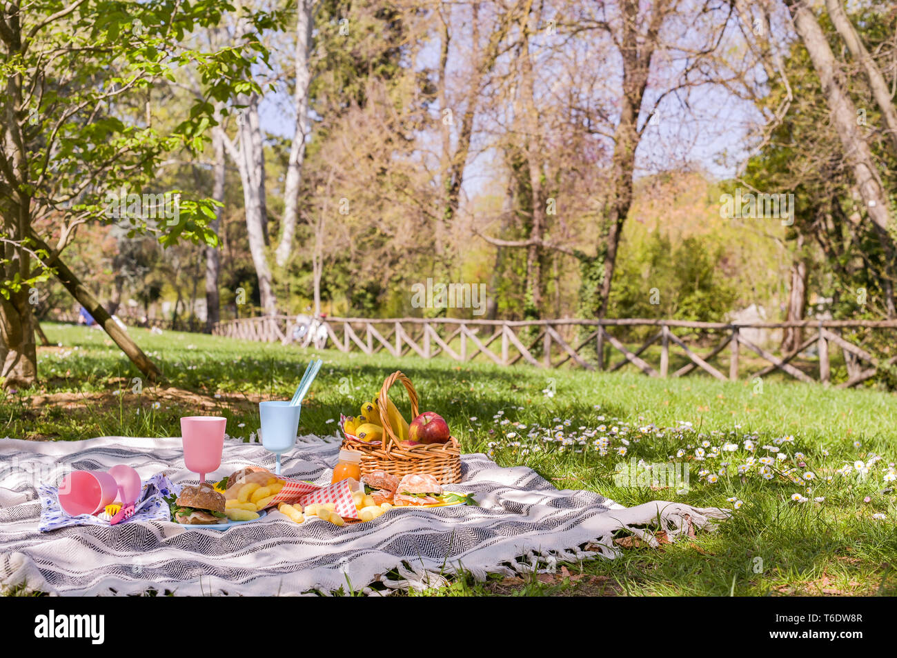 A basket of fruit and sandwiches for a picnic outdoors in the park ...