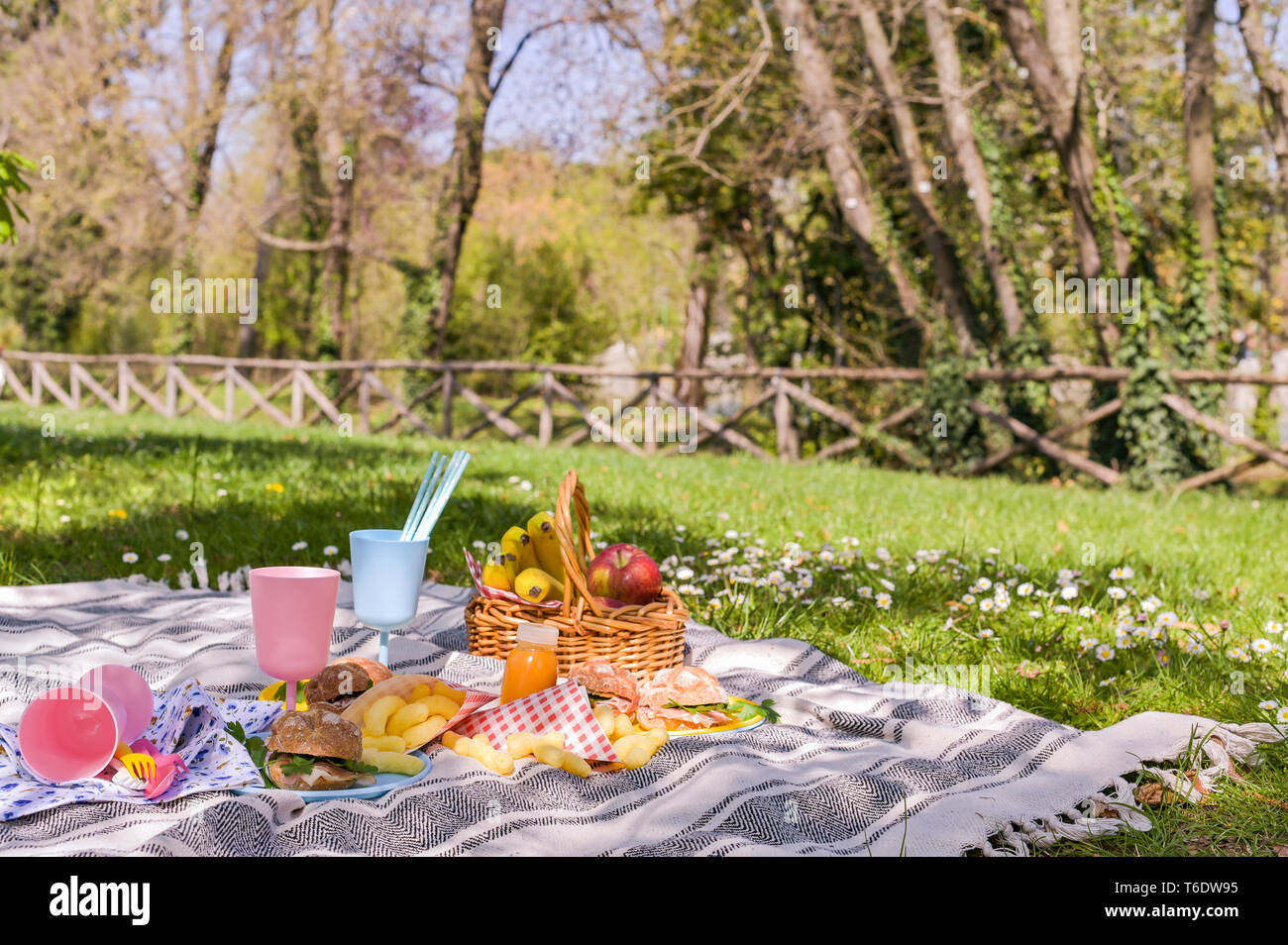 A basket of fruit and sandwiches for a picnic outdoors in the park ...