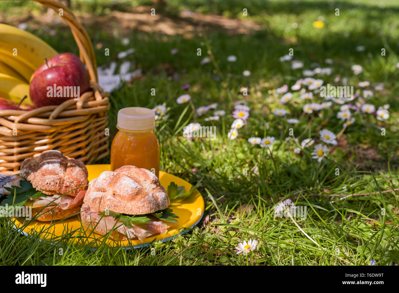 A basket of fruit and sandwiches for a picnic outdoors in the park ...