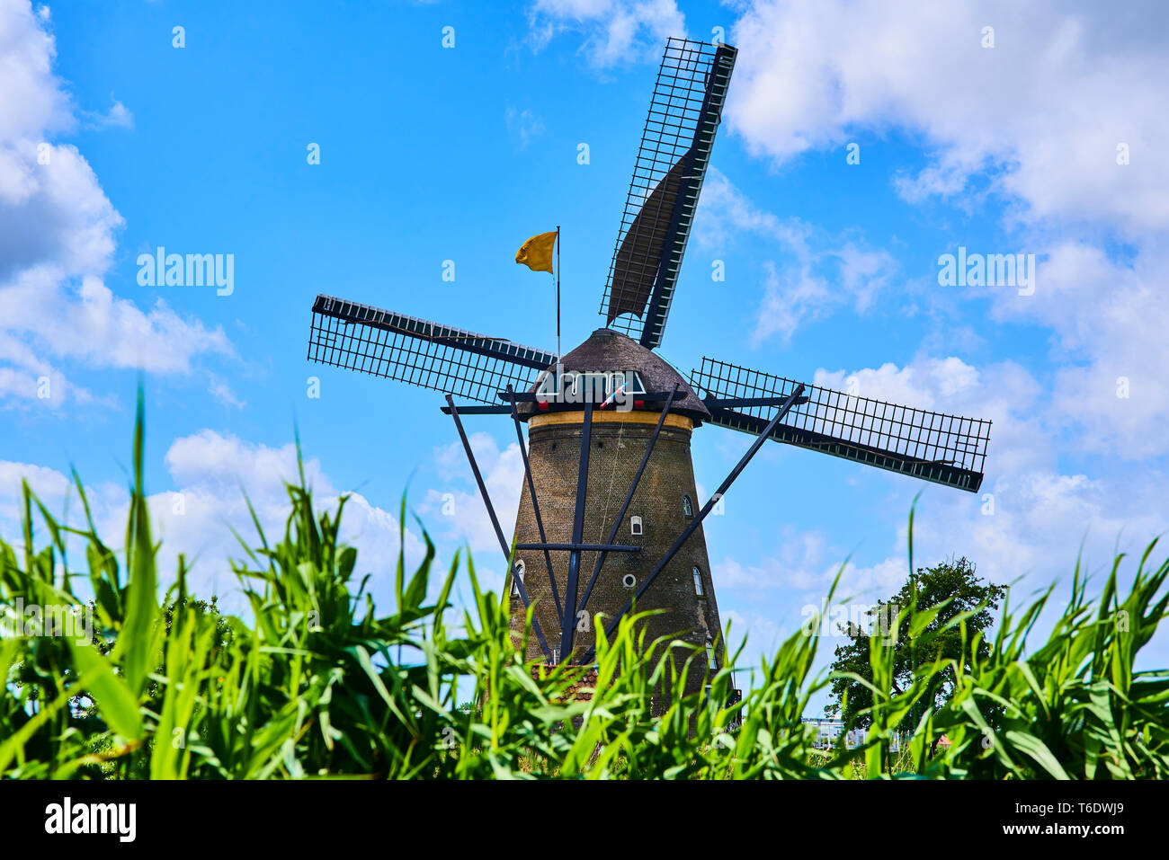 Netherlands rural lanscape with windmills at famous tourist site ...