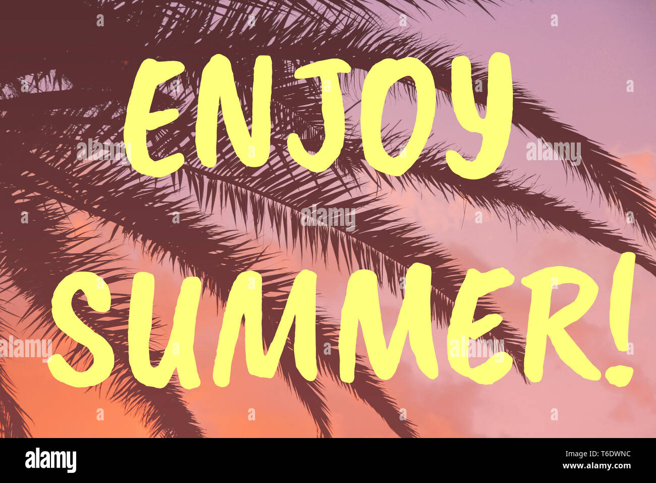 Enjoy summer lettering. Tropical sunset and palm leaves vivid summer ...