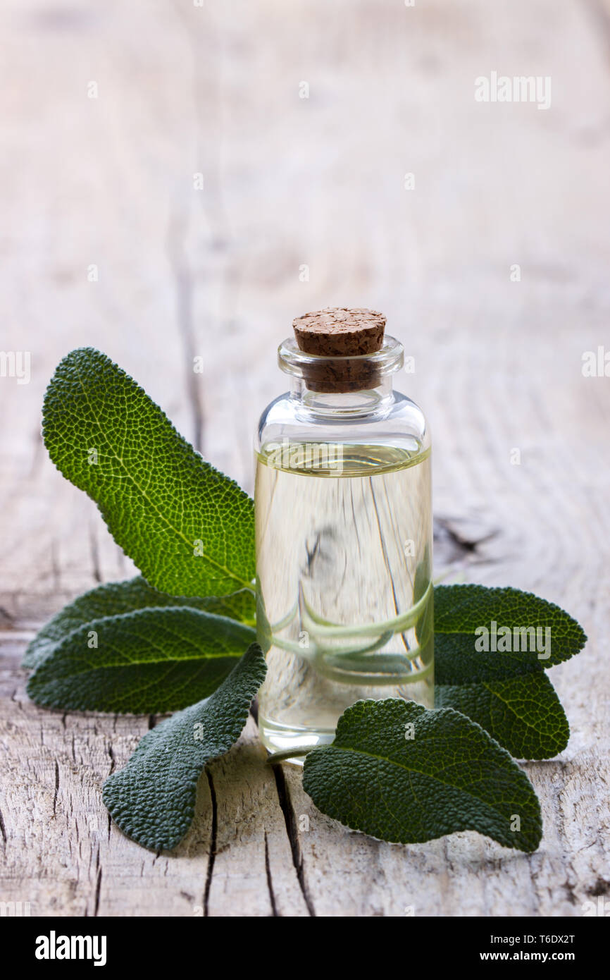 Oil of sage hi-res stock photography and images - Alamy