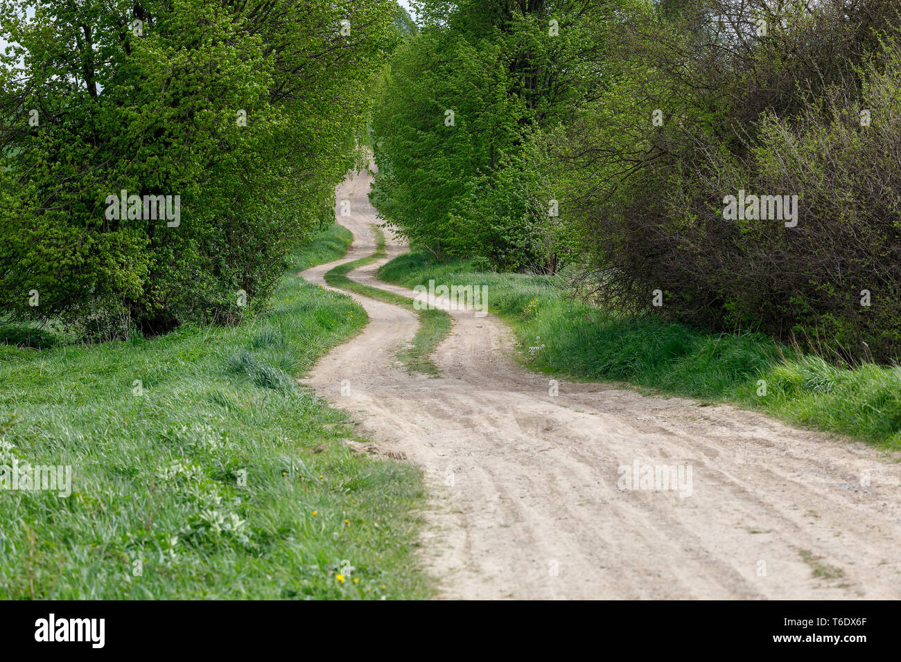 countryside rural forest path Stock Photo - Alamy