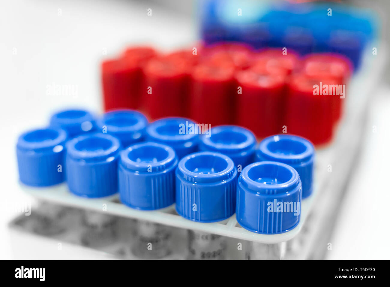 Closeup set of sterile vacuum test-tubes for blood sample Stock Photo ...