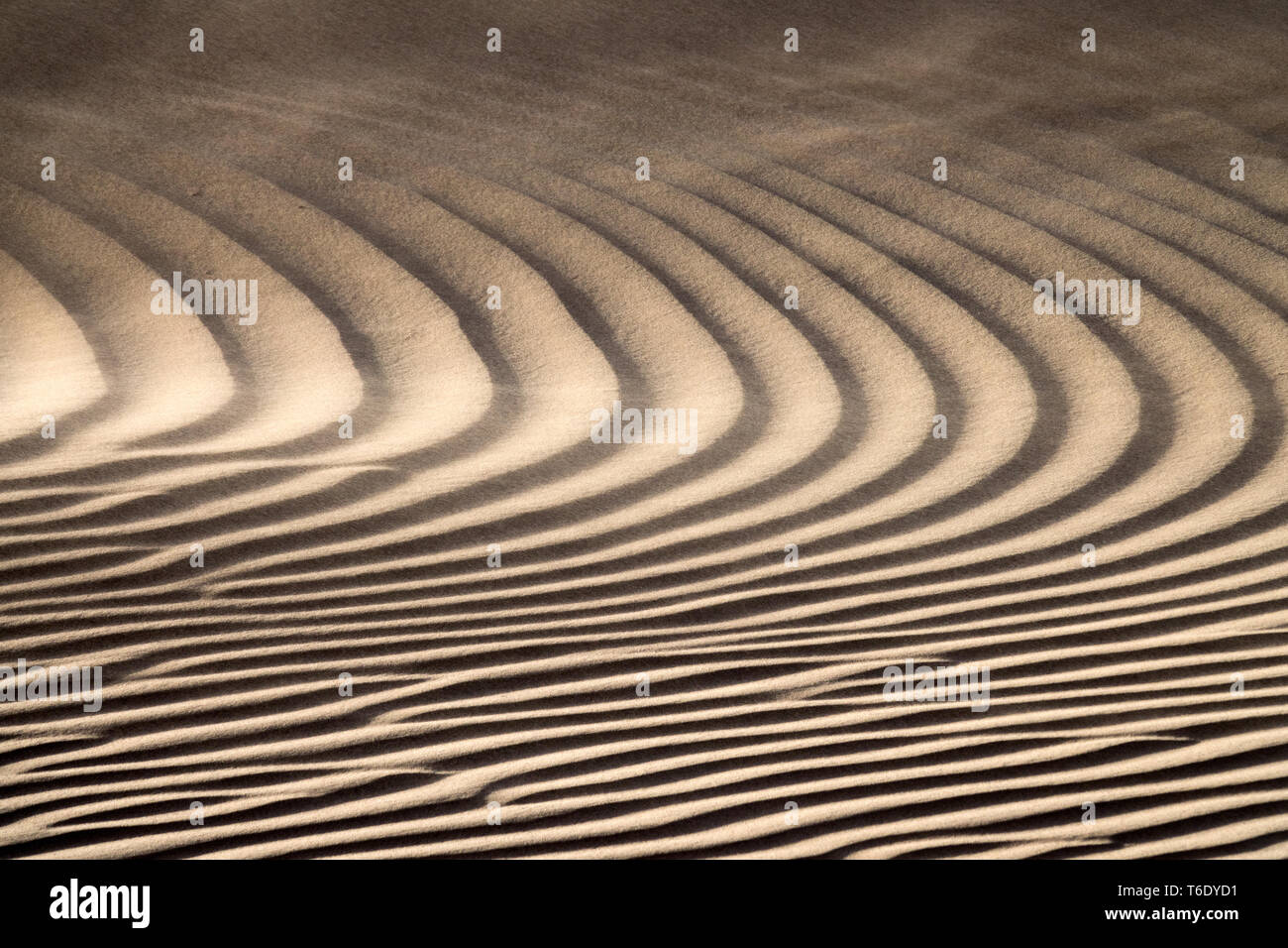Wind blowing over sand dunes Stock Photo - Alamy
