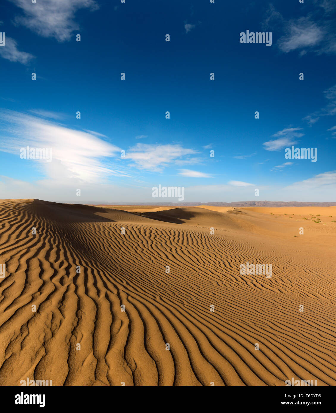 landscape in evening desert Stock Photo - Alamy