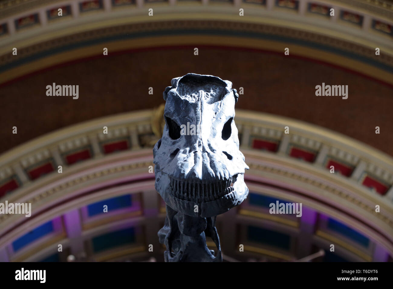 Close up of Dippy the dinosaur looking rather evil in the sunlight at ...