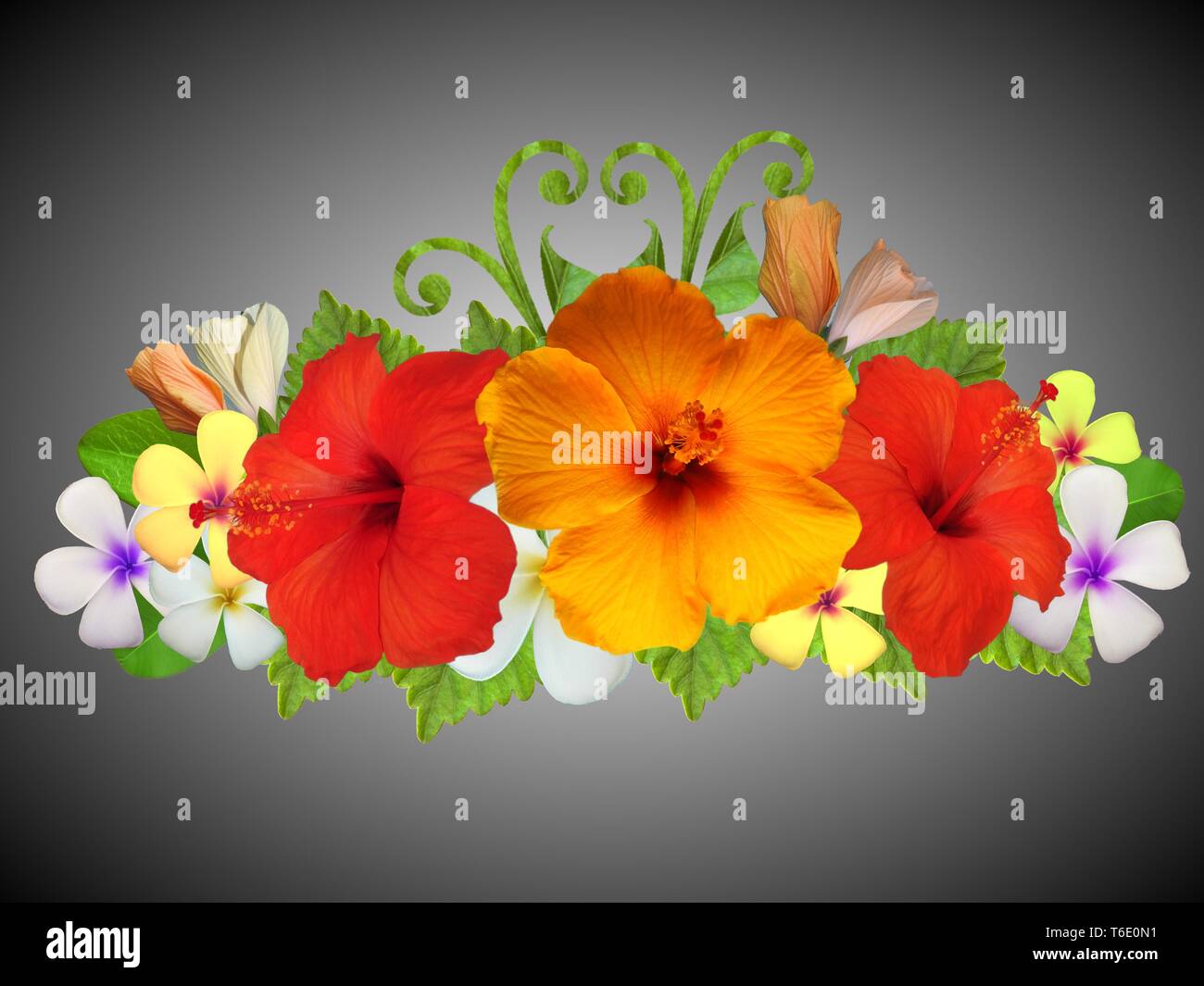 Bump flower hi-res stock photography and images - Alamy