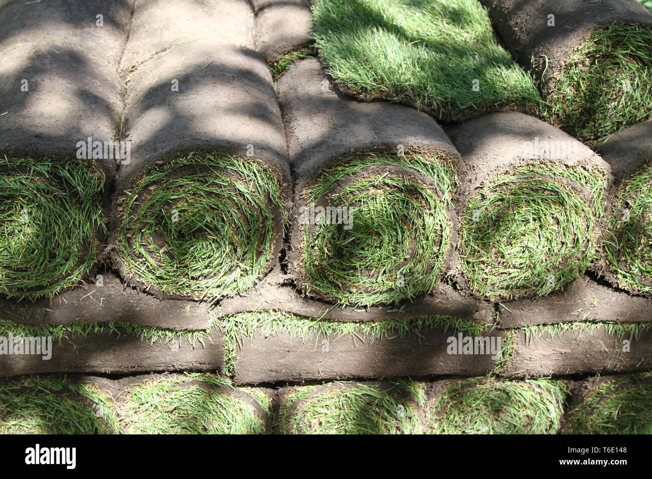 Turf rolls hi-res stock photography and images - Alamy