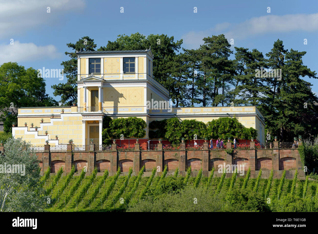 The pompejanum hi-res stock photography and images - Alamy