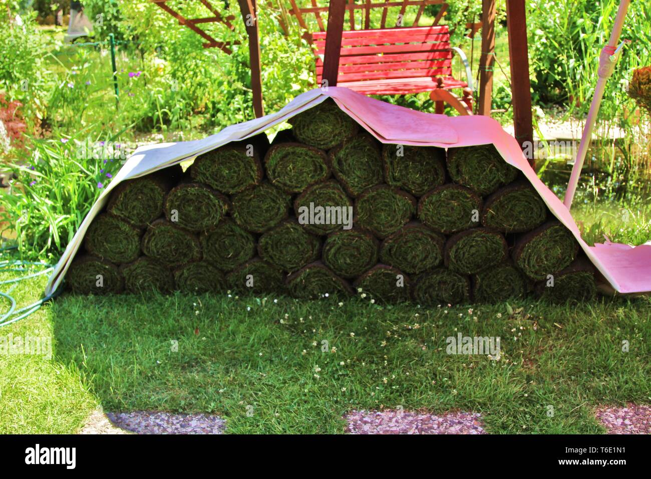Turf stacked in rolls Stock Photo - Alamy
